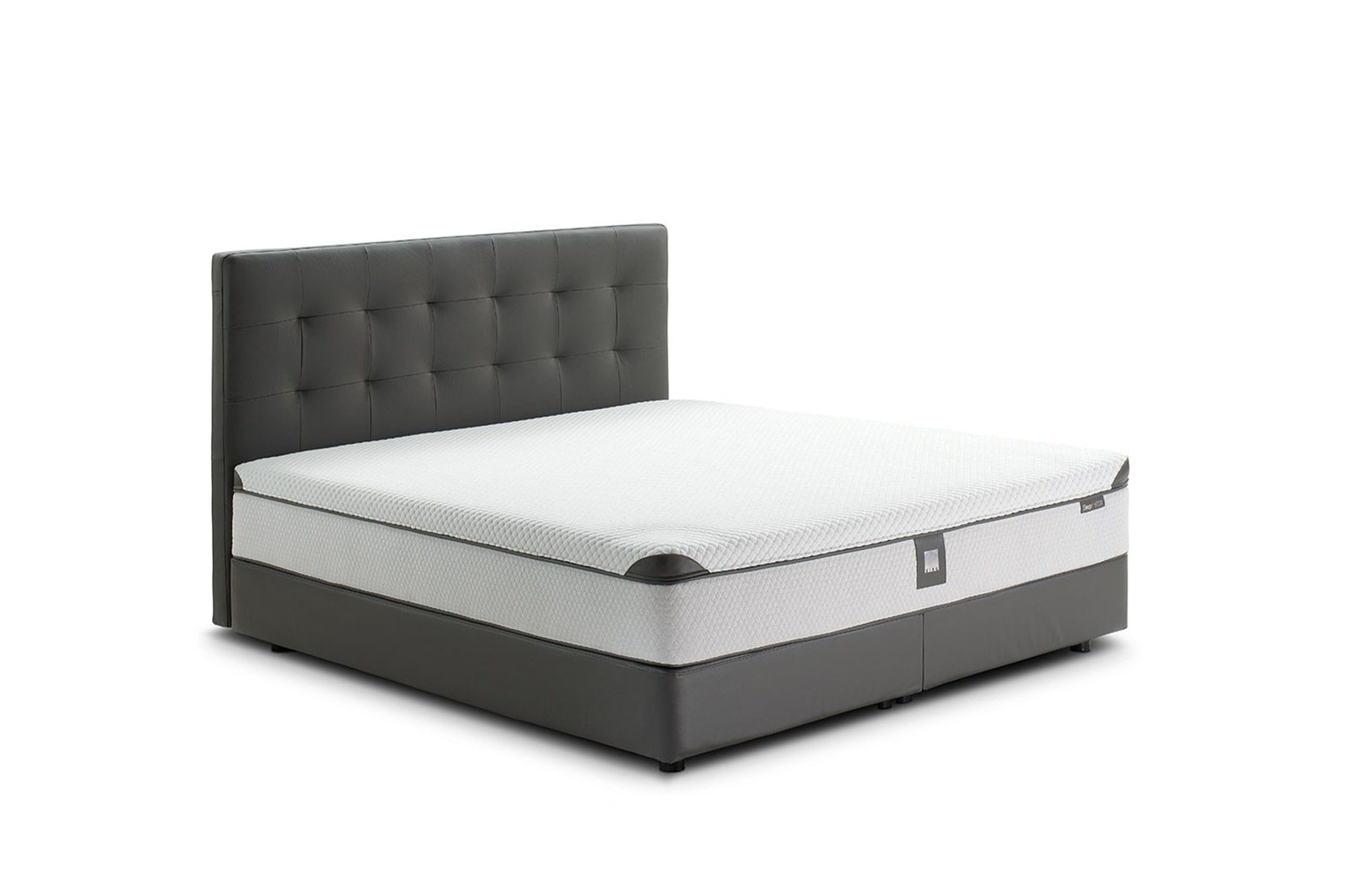 Sleep+ Contemporary Bed | Queen Size Bed